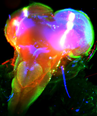 Alumni - Universität Bielefeld