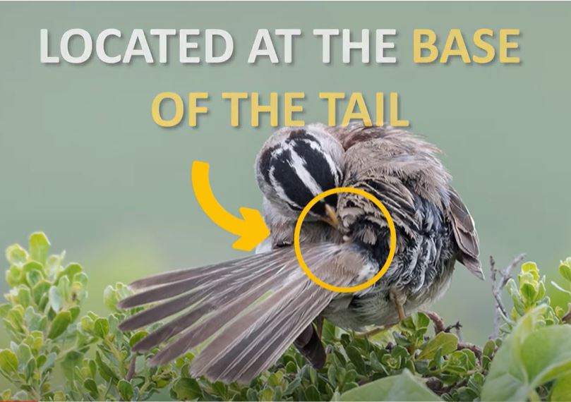 Research - Universität Bielefeld