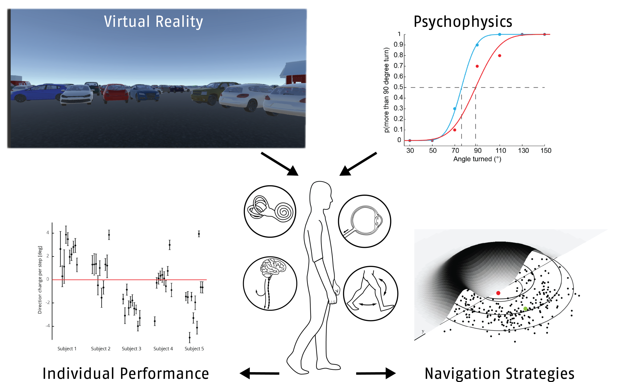 Spatial Navigation - Universität Bielefeld