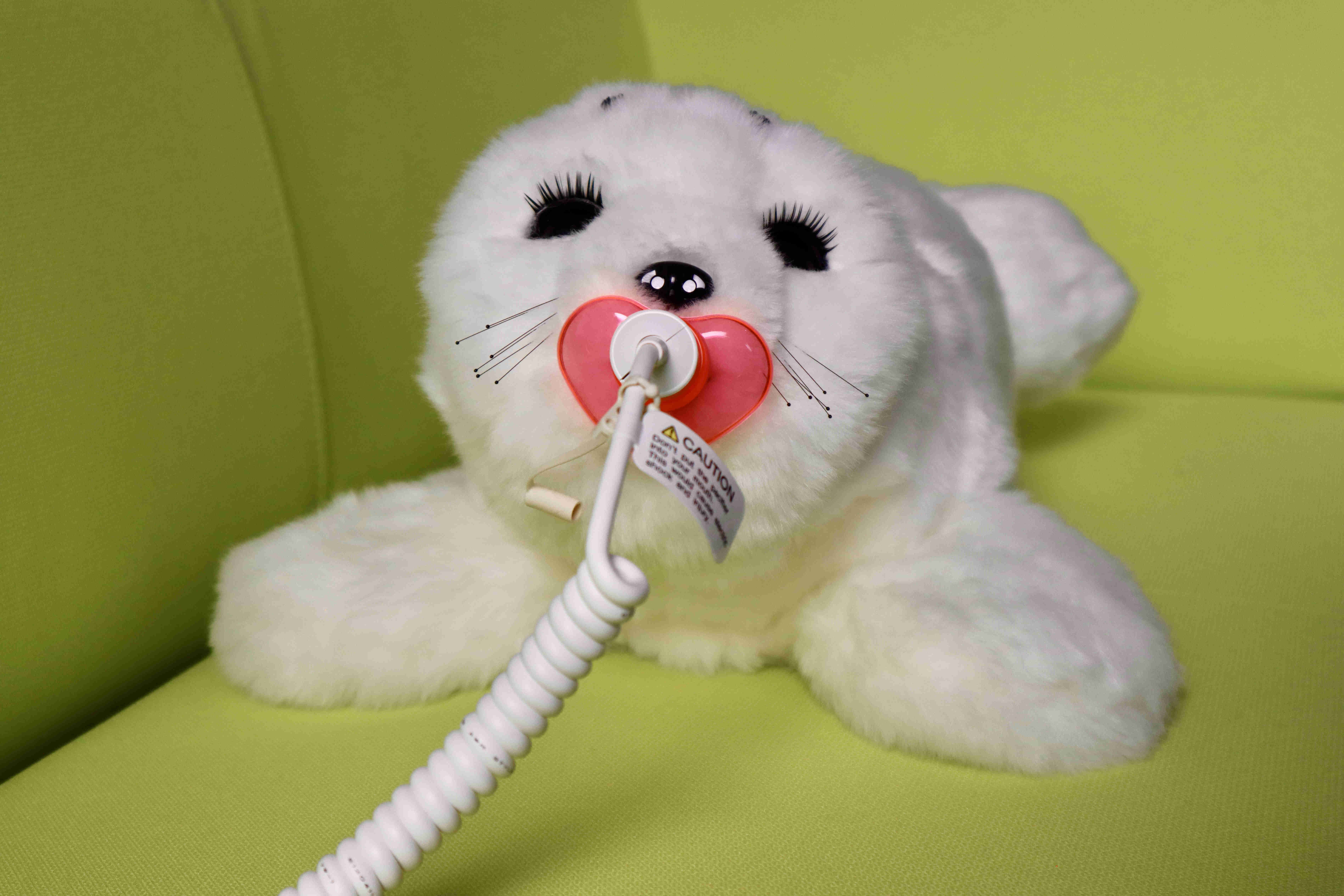 Paro - Universität Bielefeld