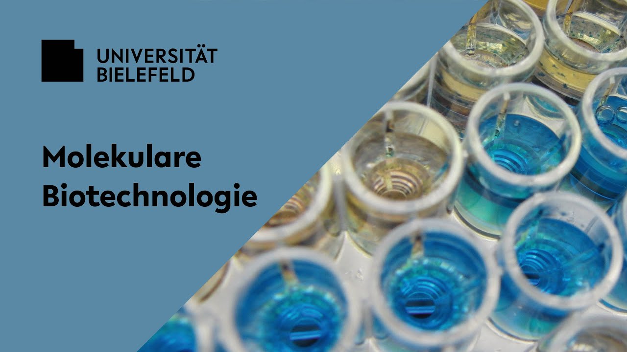 Molekulare Biotechnologie studieren - Universität Bielefeld